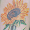 Boomer Gallery | Old Anchor Tattoos & Body Piercing